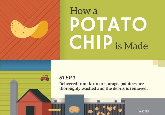 Insider Knowledge: How A Potato Chip Is Made [Infographic] — Wise Snacks