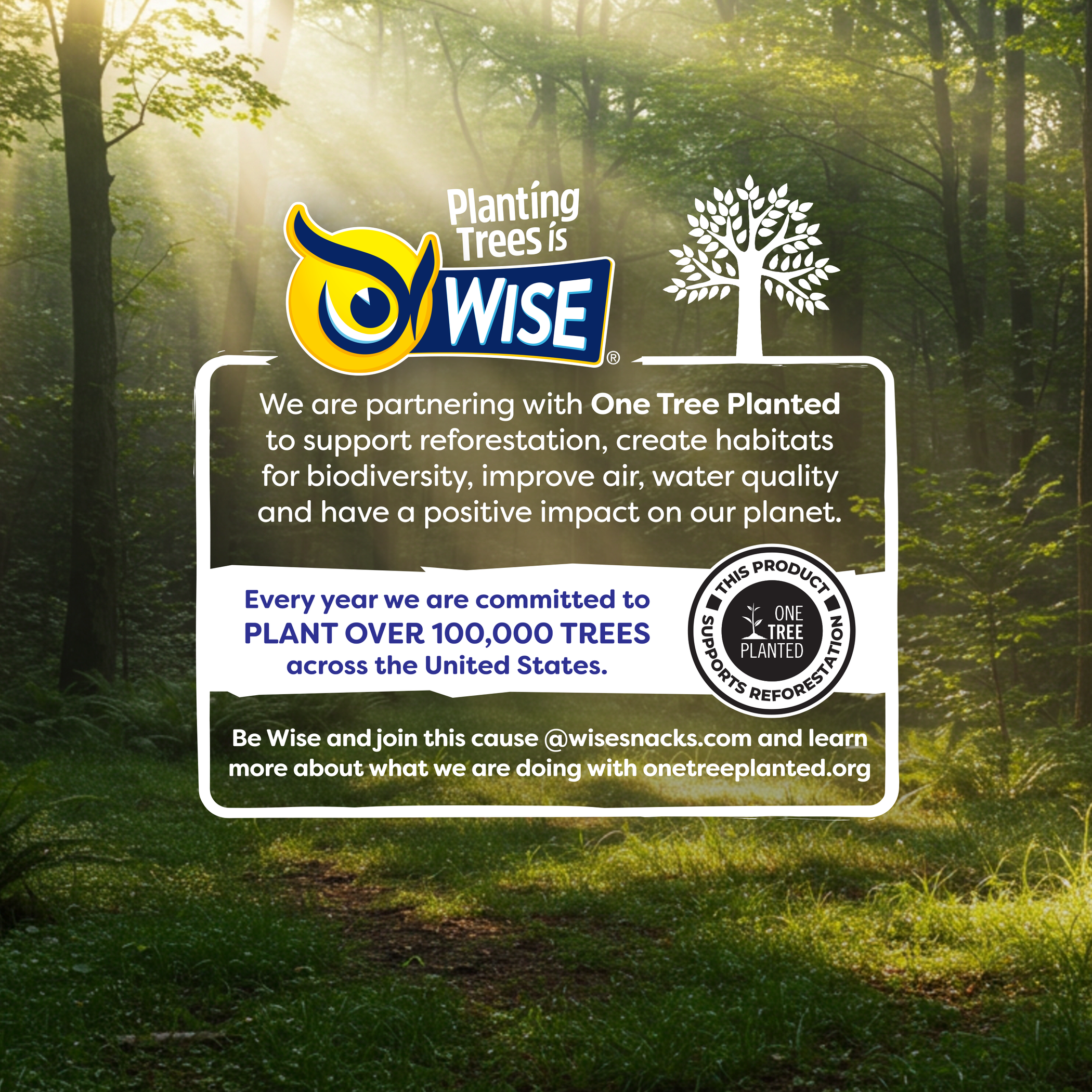 Original Ridgies — Wise Snacks